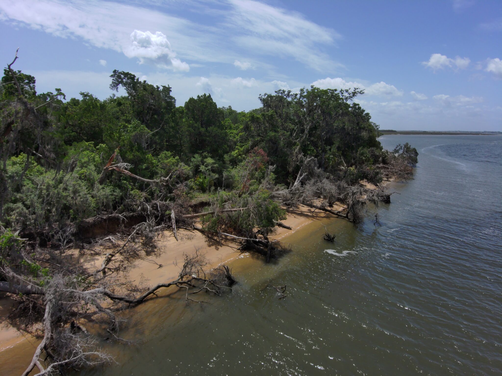 Florida Living Shorelines